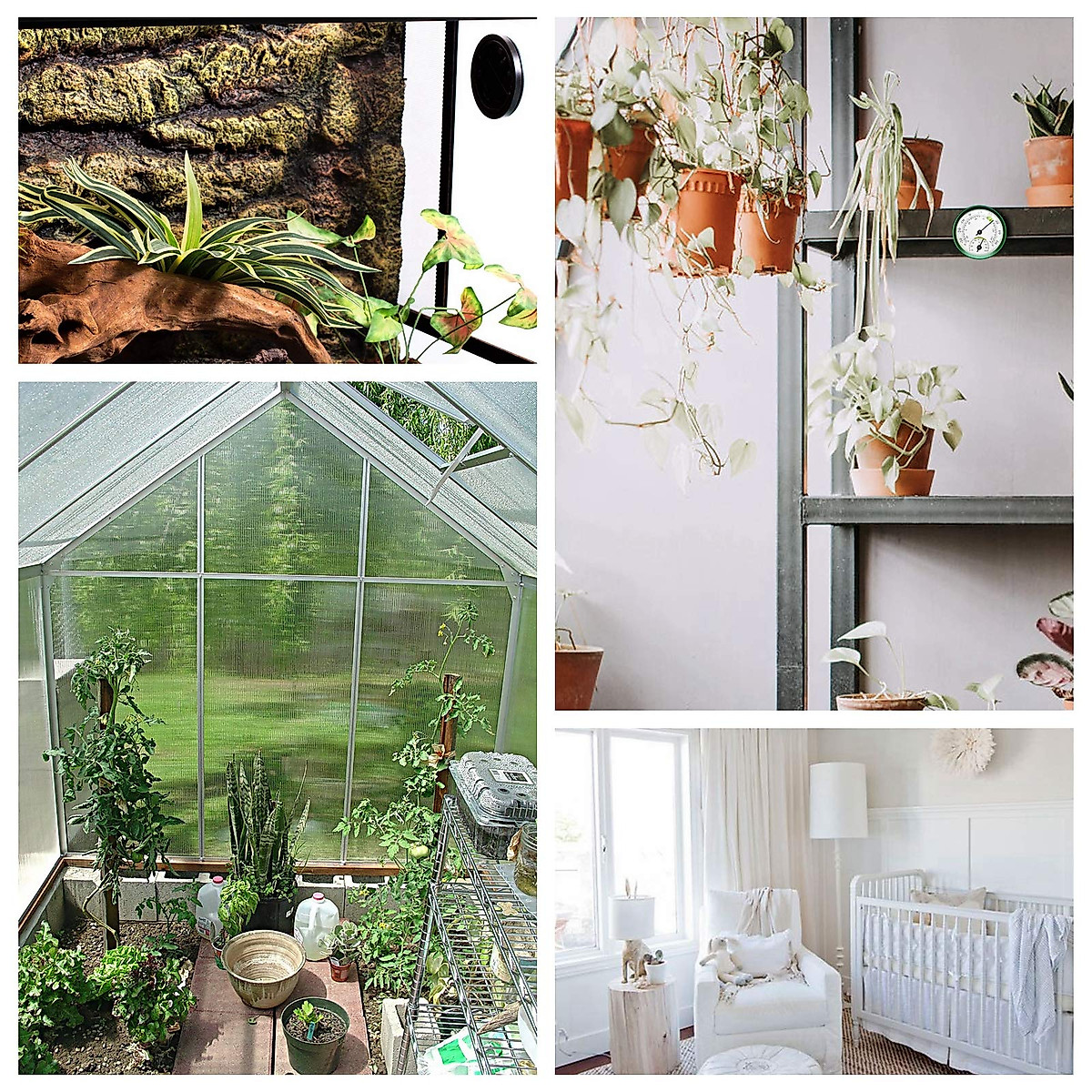 2-Pack Mini Thermometer Indoor and Humidity Gauge – Small Thermometer Hygrometer Analog Temperature Monitor for Home Wall Room Greenhouse Incubator Tank Decorative, NO Battery Needed