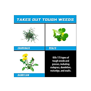 Groundclear Ortho Super Weed & Grass Killer, 24oz