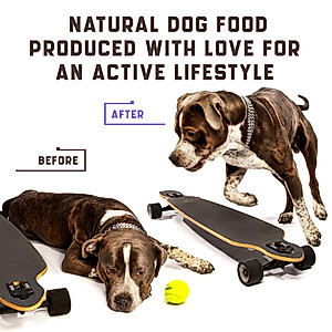 Hemp Joint Supplement for Dogs - Dog Joint Supplement with Glucosamine, Chondroitin, MSM - Supports Hip and Joint Heath, Better Mobility, Skin and Coat - for All Breeds and Ages - 180 Dog Chews, Duck