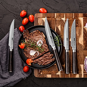 AMSZL Steak Knives - Set of 4 - Damascus - 5.5" - Japanese VG10 Core Steel Forged Straight Edge - Pakka Handle - Gift Box