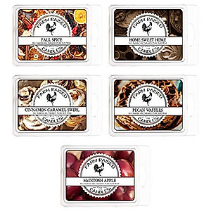 Wax Melts, 16 Oz - with 5 Scented Options Including Fall Spice, Vanilla, Cinnamon Caramel, Pecan Waffles and Apple - Soy Candle Melting Warmer Cubes with Natural Scent and Non Toxic Ingredients