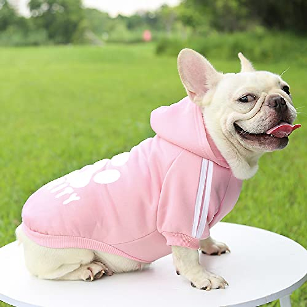Otunrues Dog Sweater, Classic Dog Clothes Soft Warm Hoodies Sweatshirt Pet Dog Winter Clothes Small Medium Sweaters for Dogs Cats (Pink, XXXL)