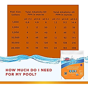 HTH 67041 pH Up Swimming Pool Chemical Balancer, 4 lbs
