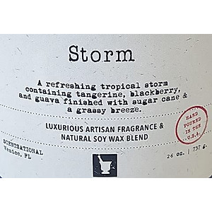 Scentsational Storm No. 6 Scented Jumbo Natural Soy Jar Candle | 26oz, 3-Wick