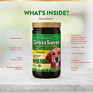 NaturVet GrassSaver| Wafers for Dogs – Help Keep Grass Green, Rid Your Lawn of Yellow Patches Caused by Dog Urine| No More Yellow Spots| DL-Methionine & Enzymes – 300 Ct