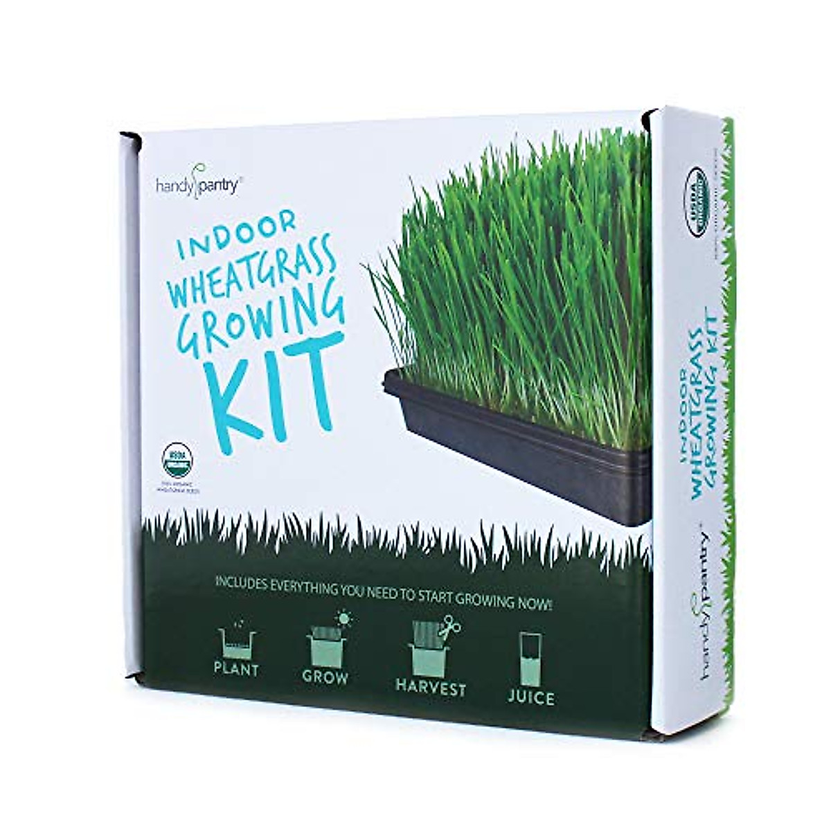 Organic Wheatgrass Growing Starter Kit - Grow & Juice Wheat Grass - Includes Non-GMO, Organic Wheatgrass Seeds - for Healthy Wheatgrass Shots, Home, Garden, and Cat Grass