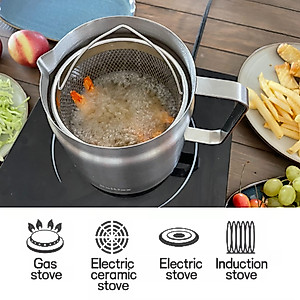 Saltlas Deep Fryer Pot with Basket and Oil Strainer, 304 Stainless Steel Deep Frying Pot for French Fries, Chicken, or Japanese Tempura, 2L (2Qt)