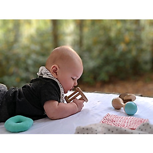 Posh Mattress Pad Protector 2 Pak 34x36 Incontinence Potty Training Pets