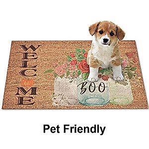 Coir Door Mat Natural Fade - Vinyl Backed Welcome Halloween Fall Summer Door Mat 16x24in Fall Floral Flowers Jars Sunflowers Pumpkins Houses Doormat Home Entryway Farmhouse Decor