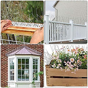 Bird Spikes for Pigeons Small Birds Cat Cover 192 Inch, OneSight Anti Bird Spikes Stainless Steel Bird Deterrent Spikes Repellent Fence Spikes（14 Packs