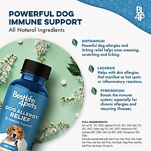 Dog Allergy Relief & Immune Support - Natural Holistic Itch Relief for Dogs, Immune System Guard and Allergy Support, Including Seasonal Allergies, Sneezing, Runny Nose and Itching - 400 Small Pills