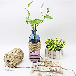 Tenn Well Jute Twine, 200Feet 3.5mm Braided Jute Rope, Natural Twine String for Crafts, Gift Wrapping, Gardening, Macrame Projects