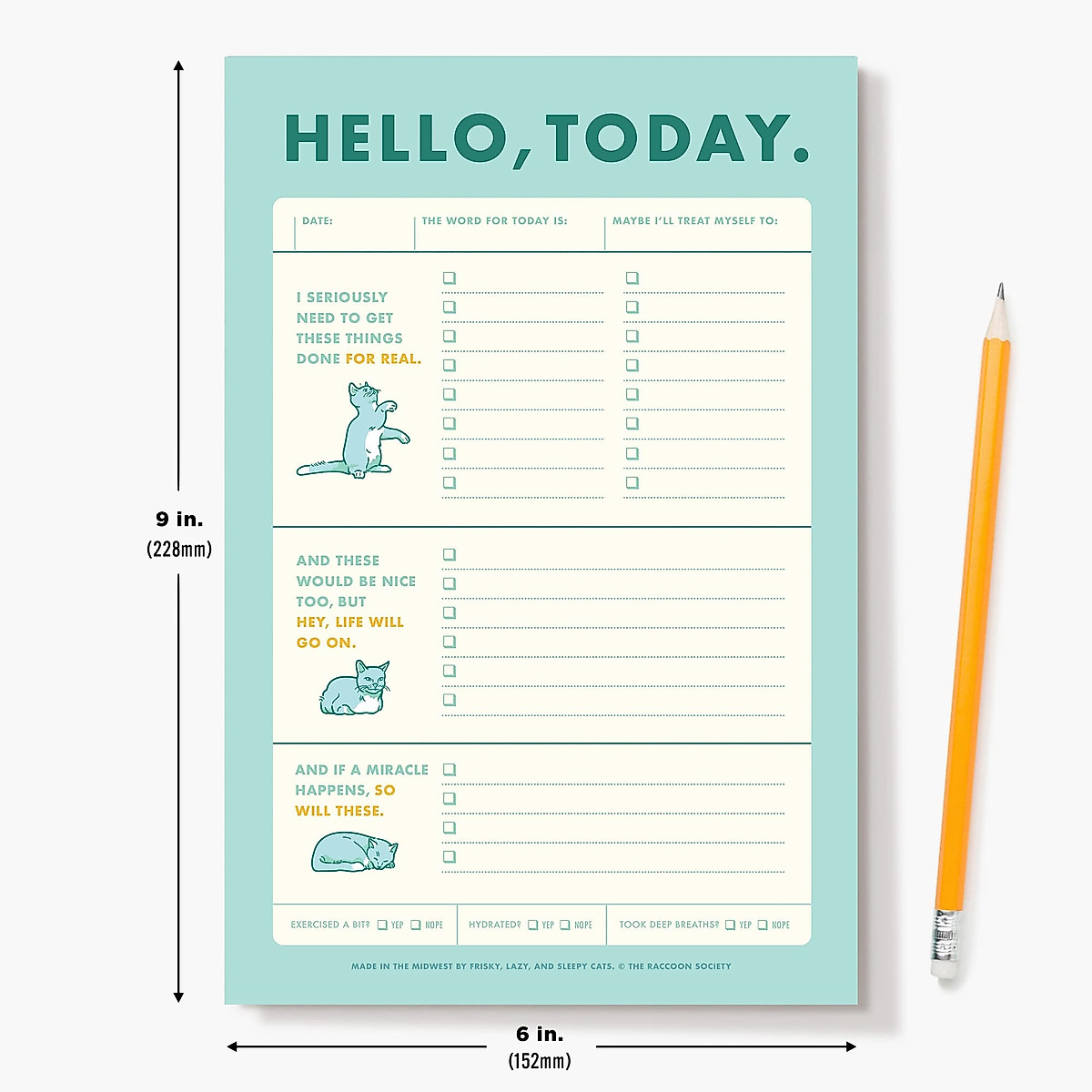 Curious Charts Commission Hello, Today - To Do List Pad - Kitty - 6 x 9 inches