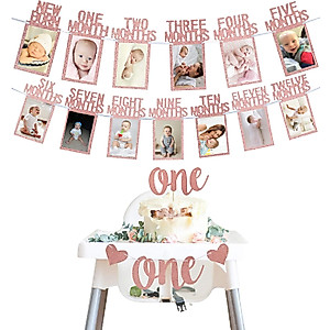 Rose Gold 1st Birthday Baby Photo Banner for Newborn to 12 Months And Alphabet ONE Bunting, Alphabet ONE Cake Topper for Baby Show First Birthday Party Decoration