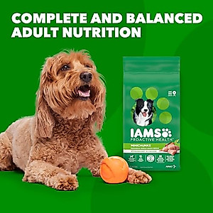 IAMS Adult Minichunks Small Kibble High Protein Dry Dog Food with Real Chicken, 7 lb. Bag