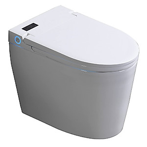 Smart Bidet Toilet Elongated One Piece Modern Design, Automatic Flushing, Heated Seat with Integrated Multi Function, Remote Control