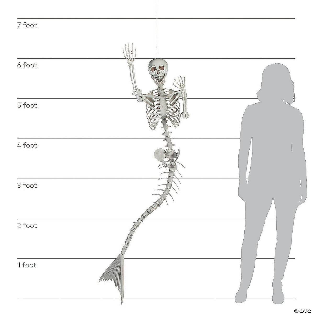 Fun Express 73", 6 Ft, Life Size Original Mermaid Skeleton decor Halloween Decoration, Plastic, Posable, Outdoor and Indoor Use, Halloween and Mystical Decor