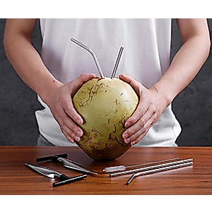 2 Pack Coconut Opener Tool Set with 4 Reusable Straws & Brush, Food Grade Stainless Steel Coco Nut Bottle Opener for Young Thai Green Fresh Coconut Water, Safe and Convenient Coco Drill Punch Tool
