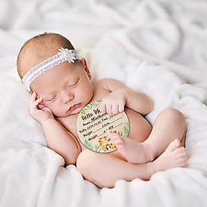 R HORSE Baby Birth Announcement Sign with Marker Pen Double-sided Cartoon Animal Pattern Newborn Announcement Sign Personalized Wooden Baby Birth Sign for Christmas Baby Shower Birthday Gift Keepsakes