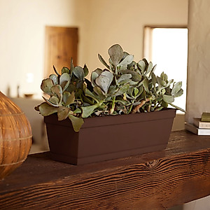 Bloem Dura Cotta Window Box Planter: 24" - Chocolate - with Tray, Weatherproof Resin Box, Removable Tray for Indoor & Outdoor Use, Gardening, 3 Gallon Capacity
