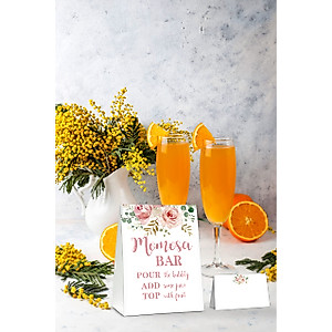 Momosa Bar Supplies Kit - Floral Momosa Bar Sign - Blush Pink Table Place Cards - Bridal Shower, Graduation Party, Bubbly Bar, Mimosa Bar, Birthday Brunch, Engagement Party Decor(01)