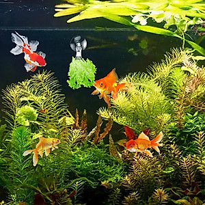 AccEncyc 12Pcs Veggie Clips Aquarium Seaweed Clips Fish Food Holder Wide Mouth Clips Plants Suction Cups Algae Clips for Freshwater and Marine Fish Tank (Plastic)