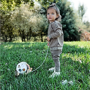 3 in 1 - Wooden Toddler Toy, Shape Sorting Toy, Pull Toy, & Stacking Toy, Toddler Blocks, Educational Toy for Baby Girls and Baby Boys, Montessori Toy for 1 Year Old & up hot Toy