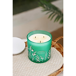 Eucalyptus Pine Clove Balsam Candle 3 Wick - Christmas Tree Scented Candle - Natural Soy Candle for Home Scented 14.5 Oz - Winter Holiday Candle Gift, Aromatherapy Stress Relief Candle for Women & Men