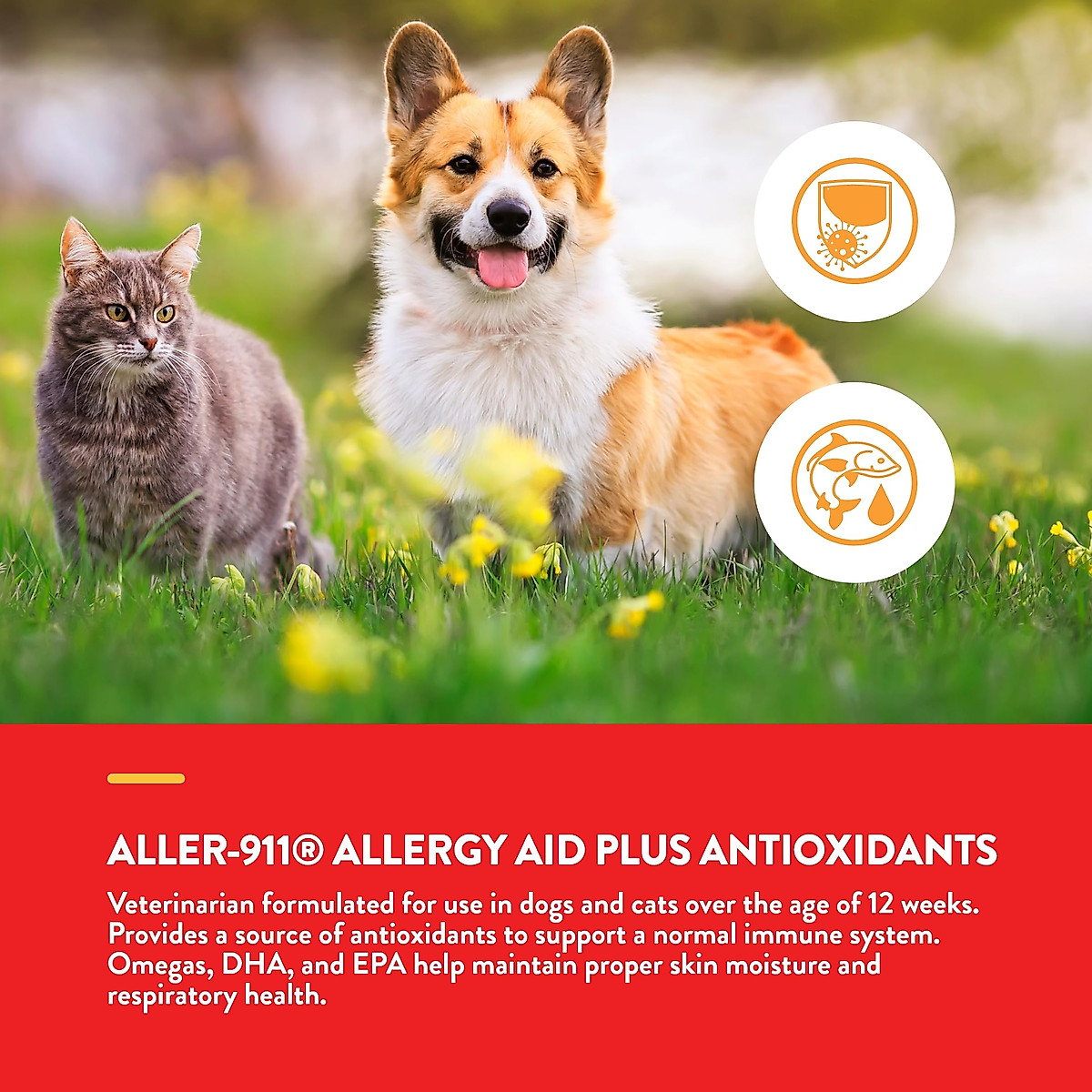 NaturVet – Aller-911 Skin & Coat Allergy Aid Plus Antioxidants – 90 Soft Chews – Supports Immune System, Skin Moisture & Respiratory Health – Enhanced with Omegas, DHA & EPA – for Dogs & Cats