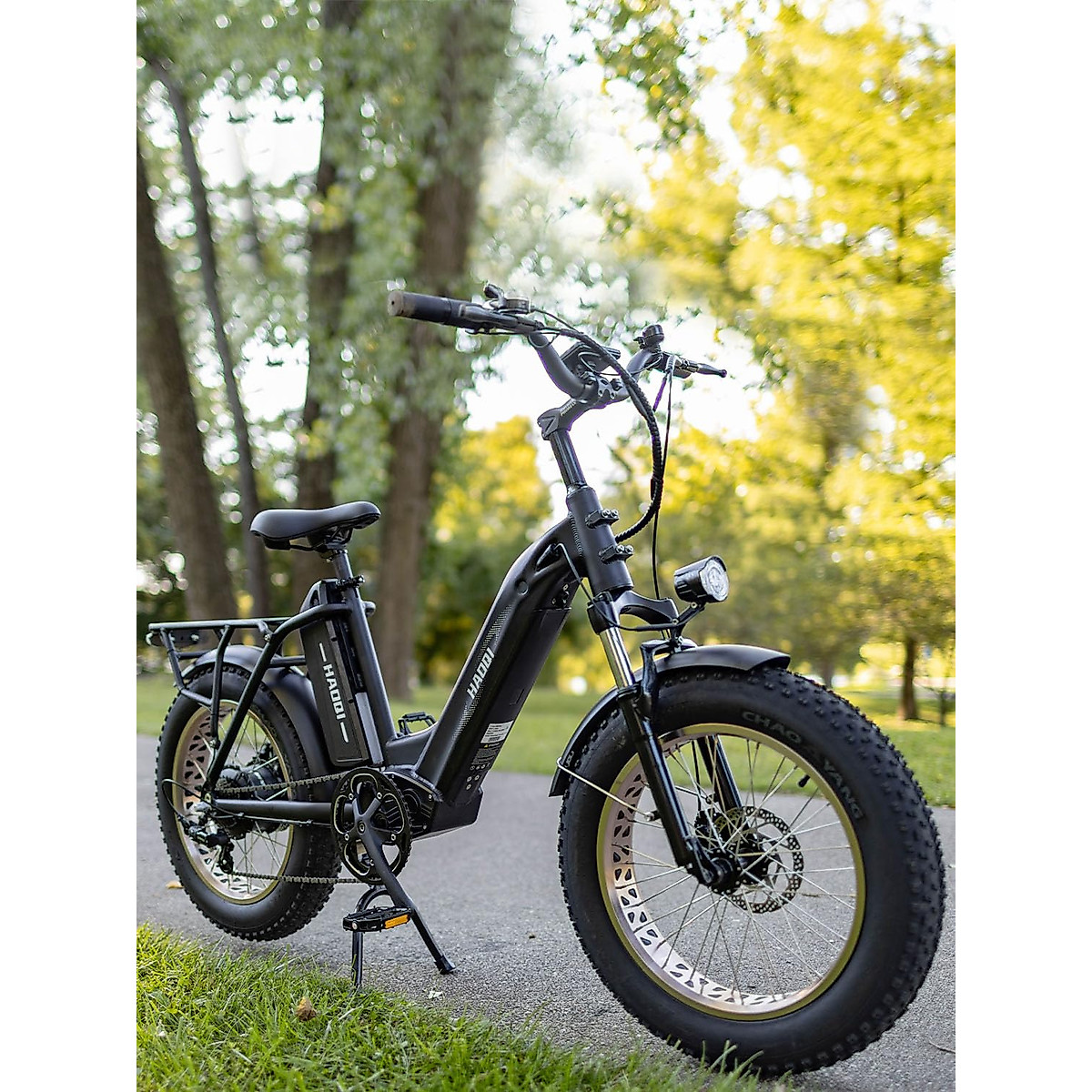 HAOQI Antelope Black Electric Bike for Adults 48V 25AH Removable Dual Lithium Battery, 750W Motor, 20" x 4.0 Fat Tire Step-Thru Ebike up to 28MPH, 7-Speed