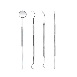 GSHLLO 4 Pcs Stainless Steel Tartar Remover Dog Teeth Picks Dental Tartar Removal Cleaner Tooth Plaque Scraper Pet Oral Cleaning Tool