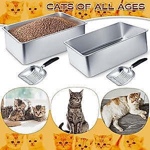 2 Set Stainless Steel Litter Box for Cat with 2 Pcs Cat Litter Scoops 15 Pcs Non Slip Rubber Feet Non Stick Smooth Bunny Litter Box High Sided Litter Box Litter Scooper with Holder (24 x 16 x 8 In)
