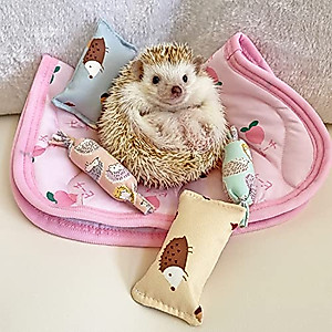 Ymid Select 4 Pcs Hedgehog Mini Pillows Small Animal Toys Habitat Decor Cage Accessories Hedgehog Supplies Photo Props Toy for Ferret ,Rabbit,Bird,Parrot,Mouse,Chinchilla, Rat,Gerbil,Dwarf Hamster