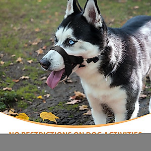 BARKLESS Soft Dog Head Collar, No Pull Training Tool for Small Medium Large Dogs on Walks, Gentle Training Collar and Control for Heavy Pullers, Includes A Training Guide