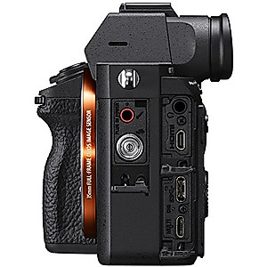 Sony a7III Full Frame Mirrorless Interchangeable Lens Camera Body Bundle with 128GB Memory Card, Monopod, and Soft Carrying Case for Cyber-Shot and Alpha Cameras