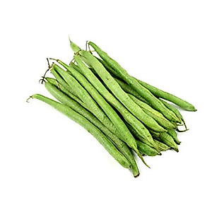 Burpee Stringless Green Bean Seeds for Planting, 50+ Heirloom Seeds Per Packet, (Isla's Garden Seeds), Non GMO Seeds, Botanical Name: Phaseolus vulgaris, 85% Germination Rates, Great Home Garden Gift
