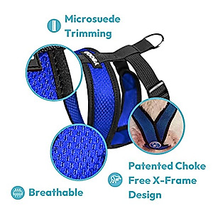 Gooby Comfort X Head in Harness - Pink, Small Harness Patented Choke-Free X Frame - Perfect on The Go Harness for Medium Dogs No Pull or Small Dogs for Indoor and Outdoor Use