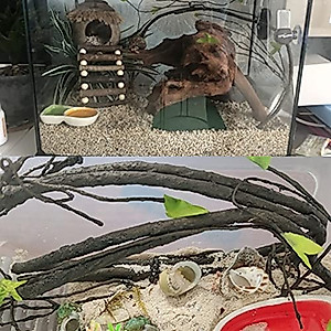 Freiomyi Reptile Vines Plants Flexible Jungle Terrarium Plant Leaves Decor Bearded Dragon Climbing Fake Plastic Leaves Pet Habitat Decoration for Lizard, Hermit Crab, Snake, Frogs