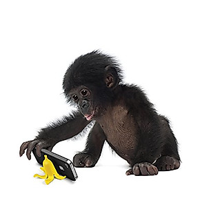 Fred Banana Stand Phone Stand, BASTA