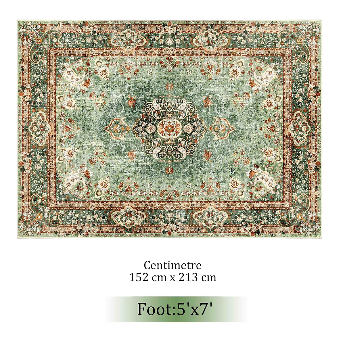 Castage 5x7 Area Rugs Washable,Green Rug for Living Room Bedroom Kitchen,Large Boho Vintage Bohemian Distressed Oriental Carpet Non Slip