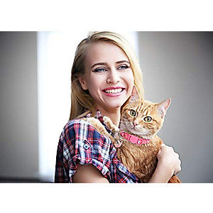 Hinialver 4 PCS Cat Collars with Bell Breakaway Gold Moons and Stars Adjustable Safety Kitten Collars with Charm Glow in The Dark