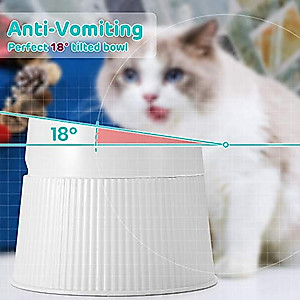 iPettie Elevated Cat Food Bowl Cat Dish, Tilted Pet Feeding Station with Stand for Small Dog, Made from Certified Food-Safe Plastics, Better Than Stainless Steel and Ceramic