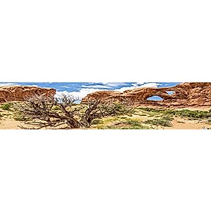 Reptile Habitat Background; Double Arch with Tree, for 36Lx18Wx18H Terrarium, 3-Sided Wraparound
