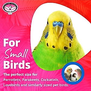 Super Bird Creations SB680 Balsa Stack Bird Toy, Small Bird Size, 6.5" x 2"