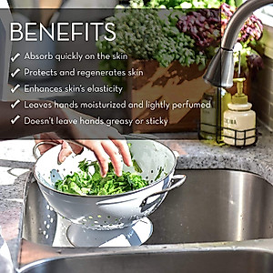 Fruits & Passion [Cucina] - Hand Care Duo Caddy Gift Set | Liquid Hand Soap Wash (5.1 oz) with Hand Cream Lotion (6.8 oz) (Coriander & Olive)