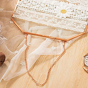 NCYP Wall Hanging 8X10 inches Long Octagon Herbarium Rose Gold Copper Glass Frame for Pressed Flowers, Dried Flowers, Poster, Double Glass, Floating Frame Style, Glass Frame Only