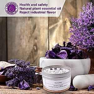 Lavender Candle Aromatherapy Candles Gifts for Women, Christmas Gifts, Lucky Charms Candle with Crystals Inside, 7.2oz Lavender Healing Candles for Balance/Cure/Energy