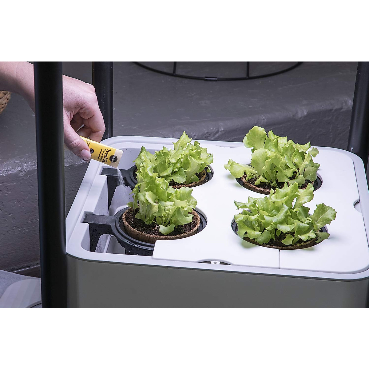 Miracle-Gro Twelve Plant Nutrition 12 Pre-Dosed Packets for Indoor Gardening - Plant Food for Vegetables, Fruits and Flowers, Designed for Growing Plants in Hydroponic Systems