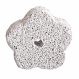 JJ Store Nibbling Block for Rats Hamsters Rabbits Degu and Other Small Animals (Flower)