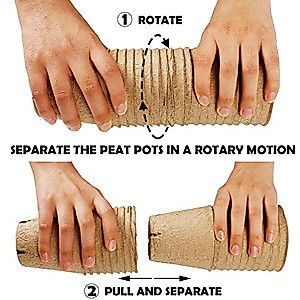 winemana 100 Pack Seed Starter Tray Kit, Biodegradable Peat Pots for Seedling with 100 Plant Labels, Plant Garden Germination Tray for Flower Vegetables Succulents (3" x 3")